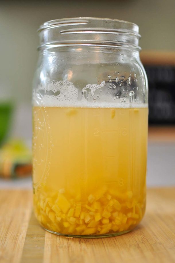 How to Make a Ginger Bug for Homemade Soda - The Fermentation Adventure