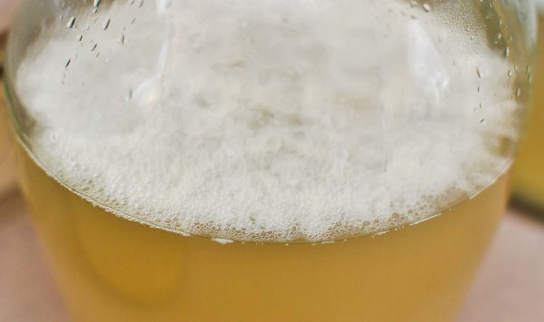 How to Make Homemade Ginger Beer (Ale) Soda with Real Ginger - The ...