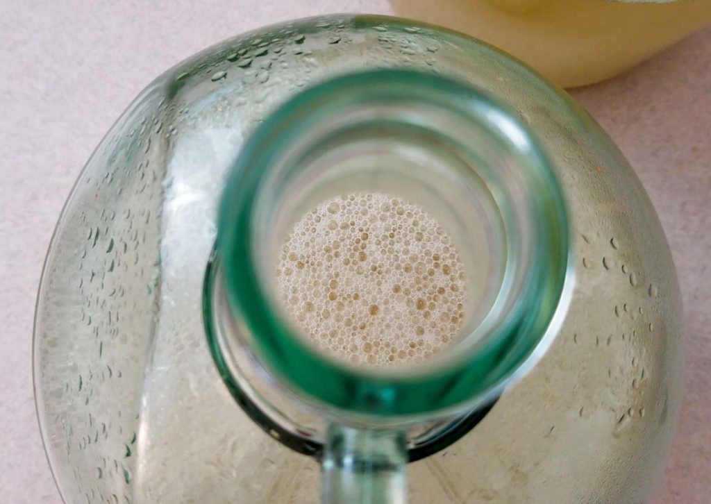 How to Make Homemade Ginger Beer (Ale) Soda with Real Ginger - The ...