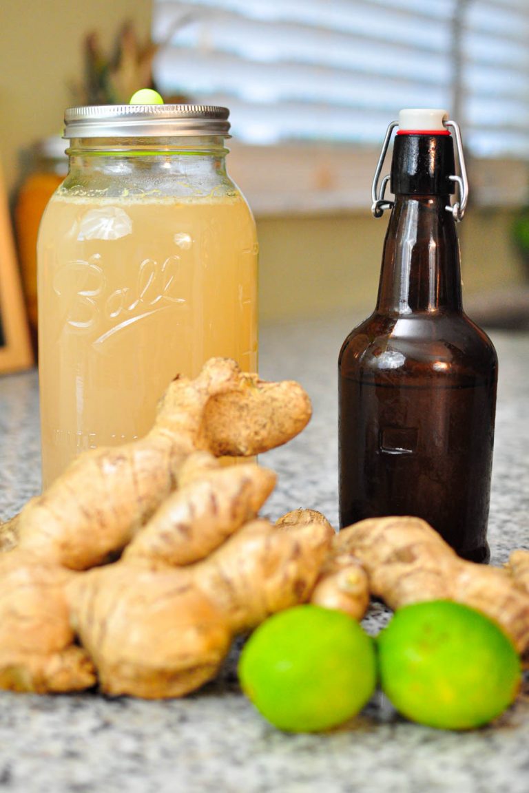 How to Make Ginger Ale by Juicing Ginger | Spicy Ginger Beer Recipe ...