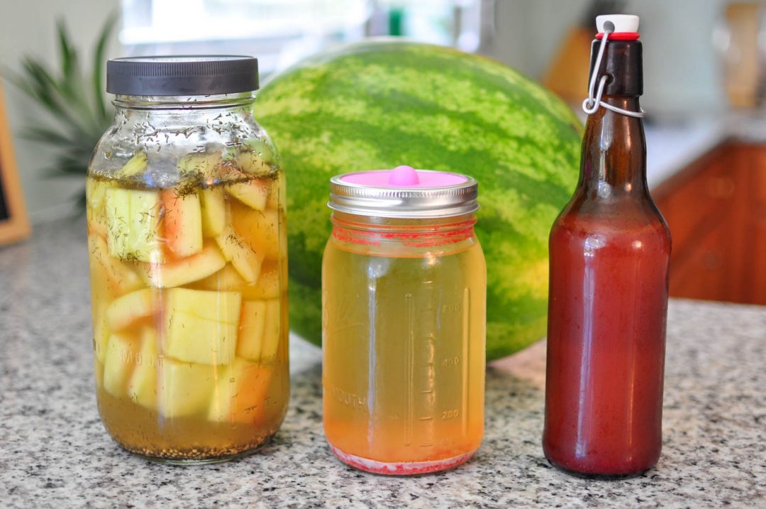 How to Make Fermented Watermelon Soda | Ginger Bug Soda Recipe - The ...