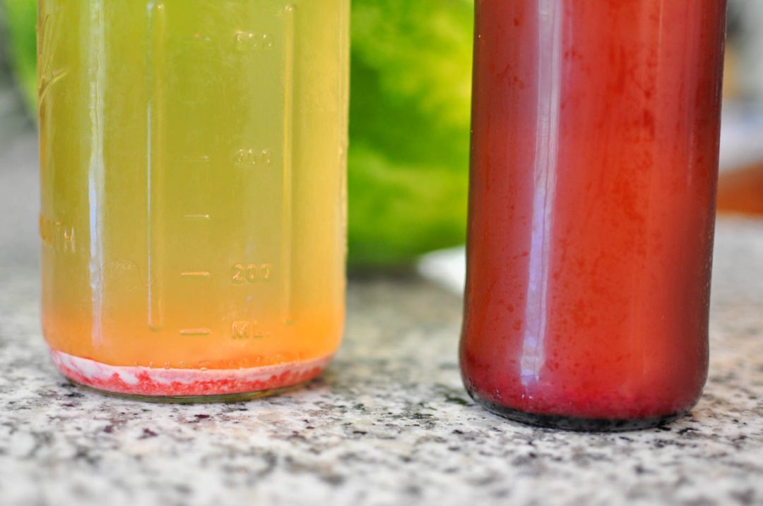How to Make Fermented Watermelon Soda | Ginger Bug Soda Recipe - The ...
