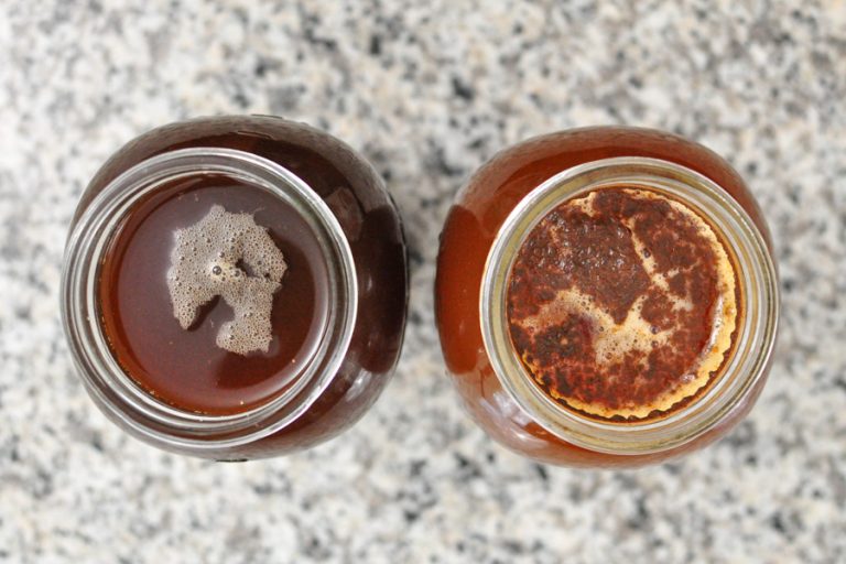How to Make Homemade Root Beer (Sassafras & Sarsaparilla Recipe!) - The ...