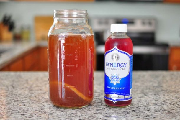 How to Make a Kombucha Scoby - The Fermentation Adventure
