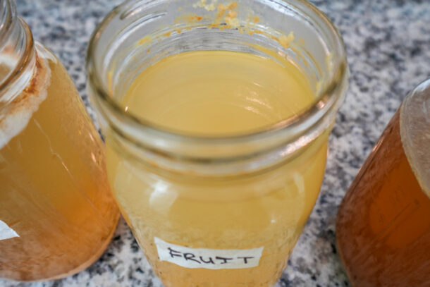 Which Sugars Ferment? Honey, Stevia, Agave? 🍺 Making Homemade Ginger ...