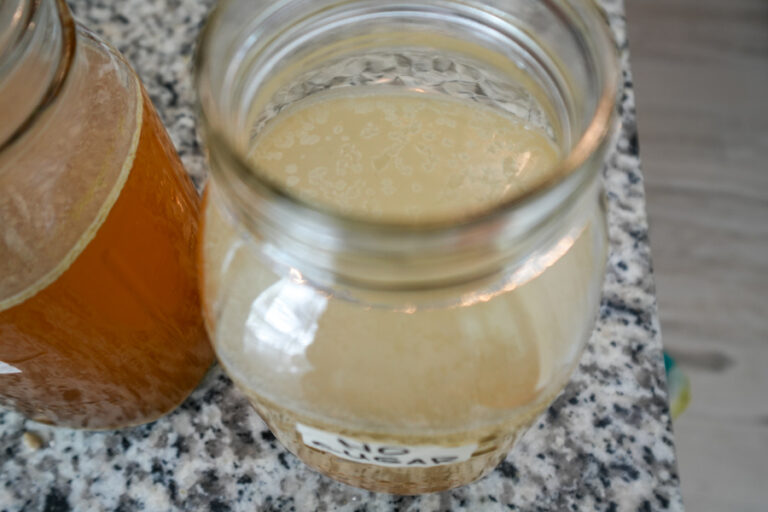 Which Sugars Ferment? Honey, Stevia, Agave? 🍺 Making Homemade Ginger ...