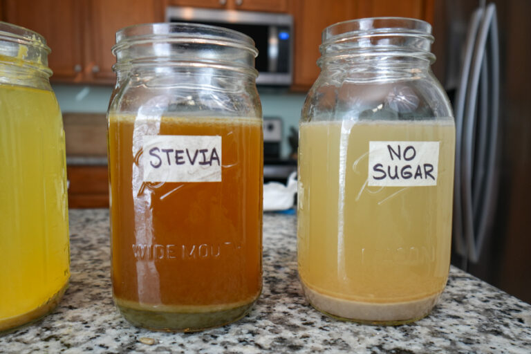 Which Sugars Ferment? Honey, Stevia, Agave? 🍺 Making Homemade Ginger ...