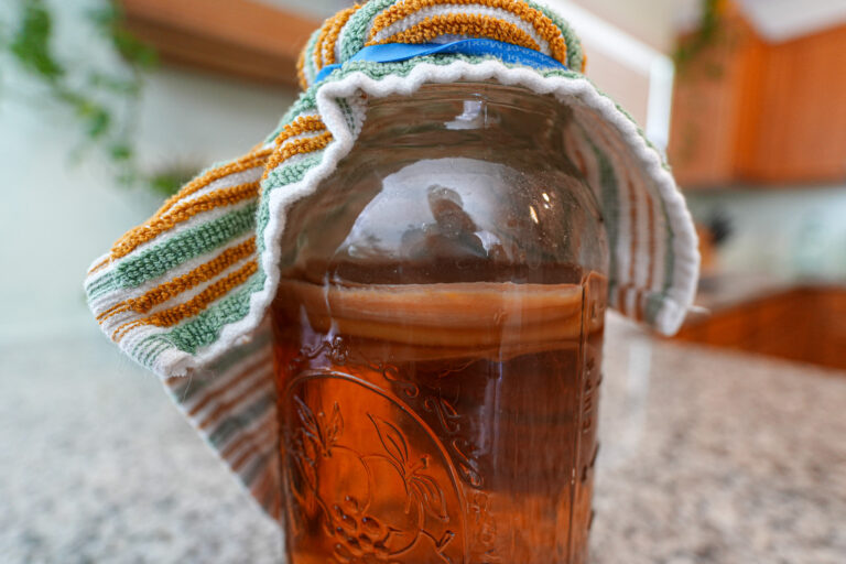 How to Make a Kombucha SCOBY Hotel - The Fermentation Adventure