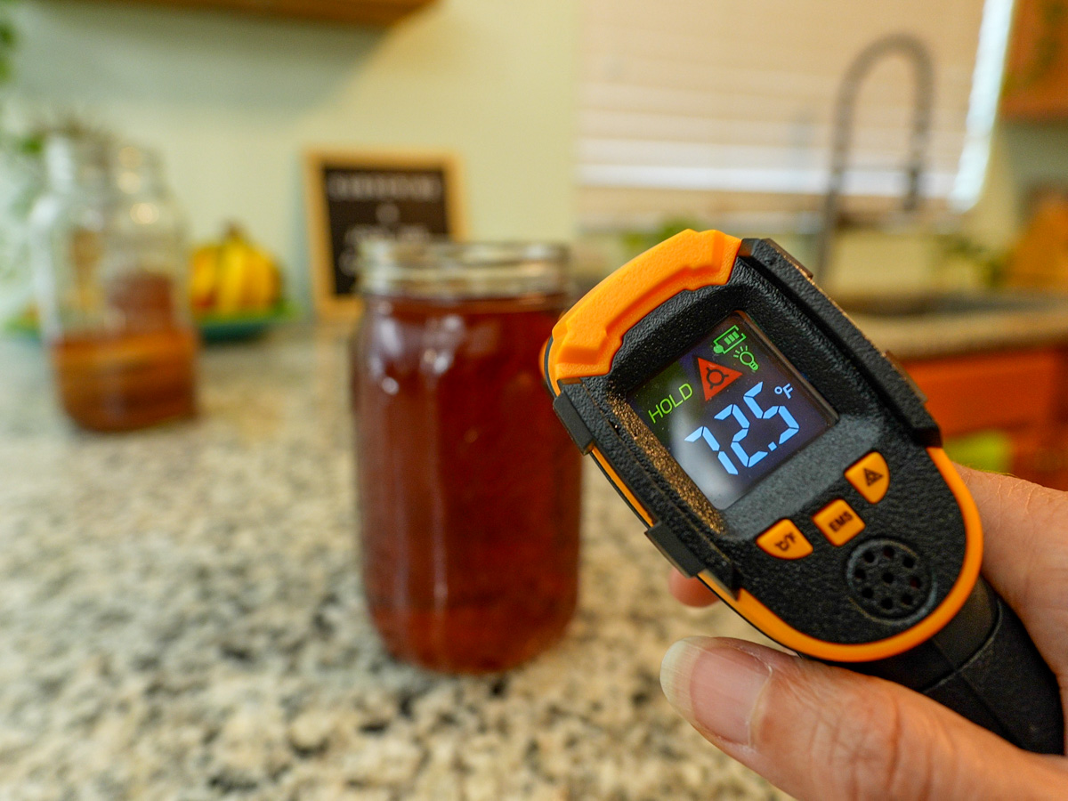 How to Make a Kombucha SCOBY Hotel - The Fermentation Adventure